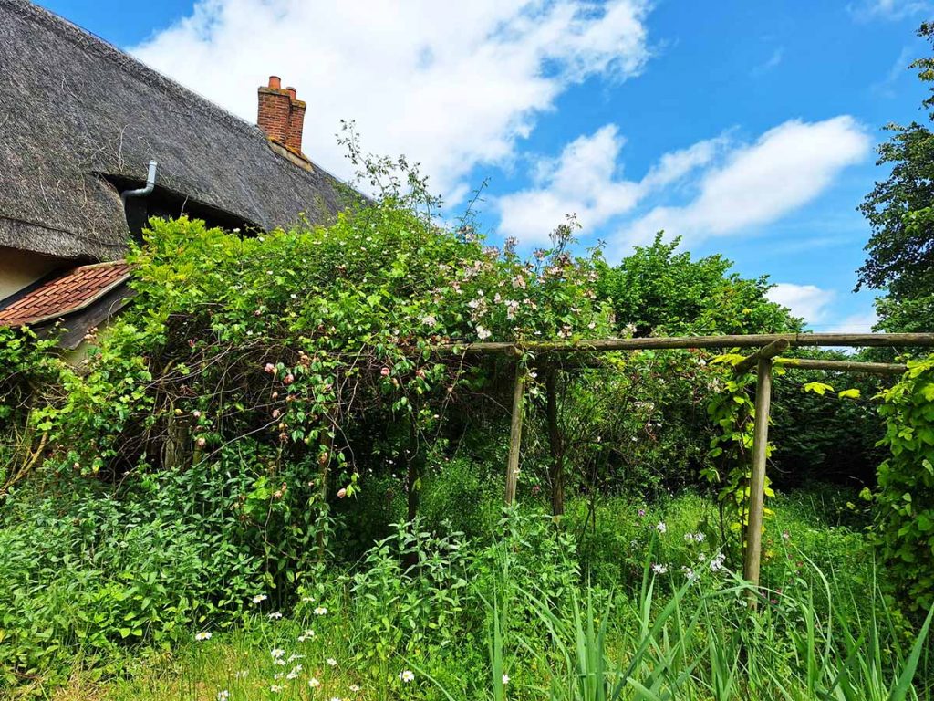 Holistic Garden | Meadowsweet Holistic Health